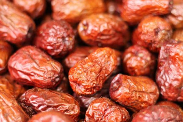 Datil – Efreshco